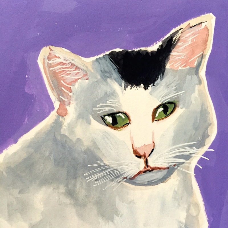 cat power