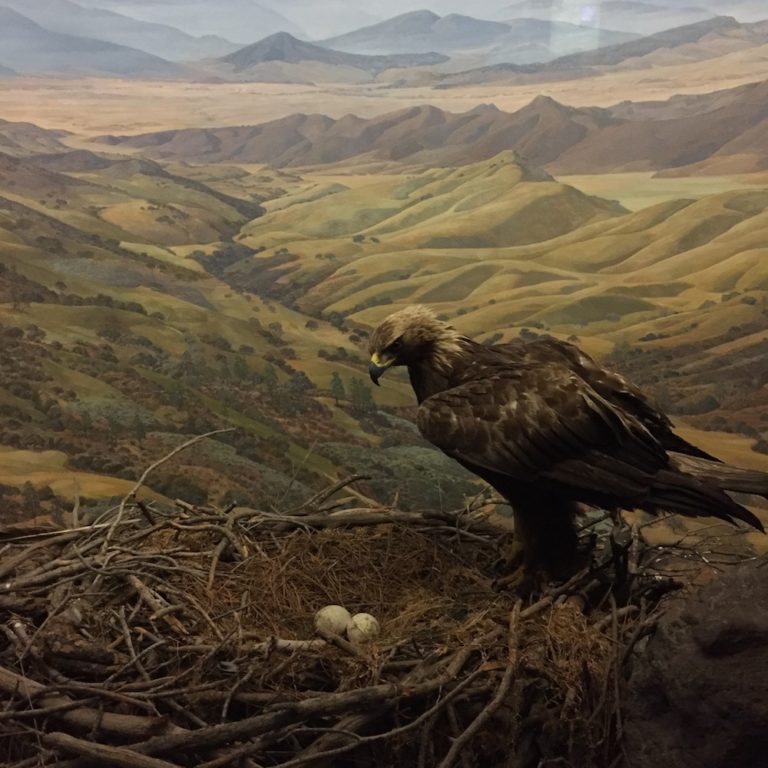 ray strong: a california landscape painter