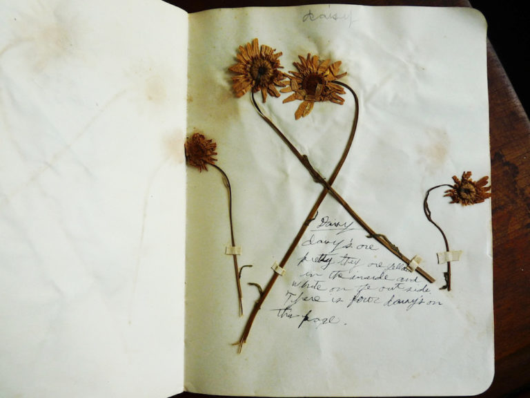 A Vintage Pressed Flower Book From An Old Schoolhouse