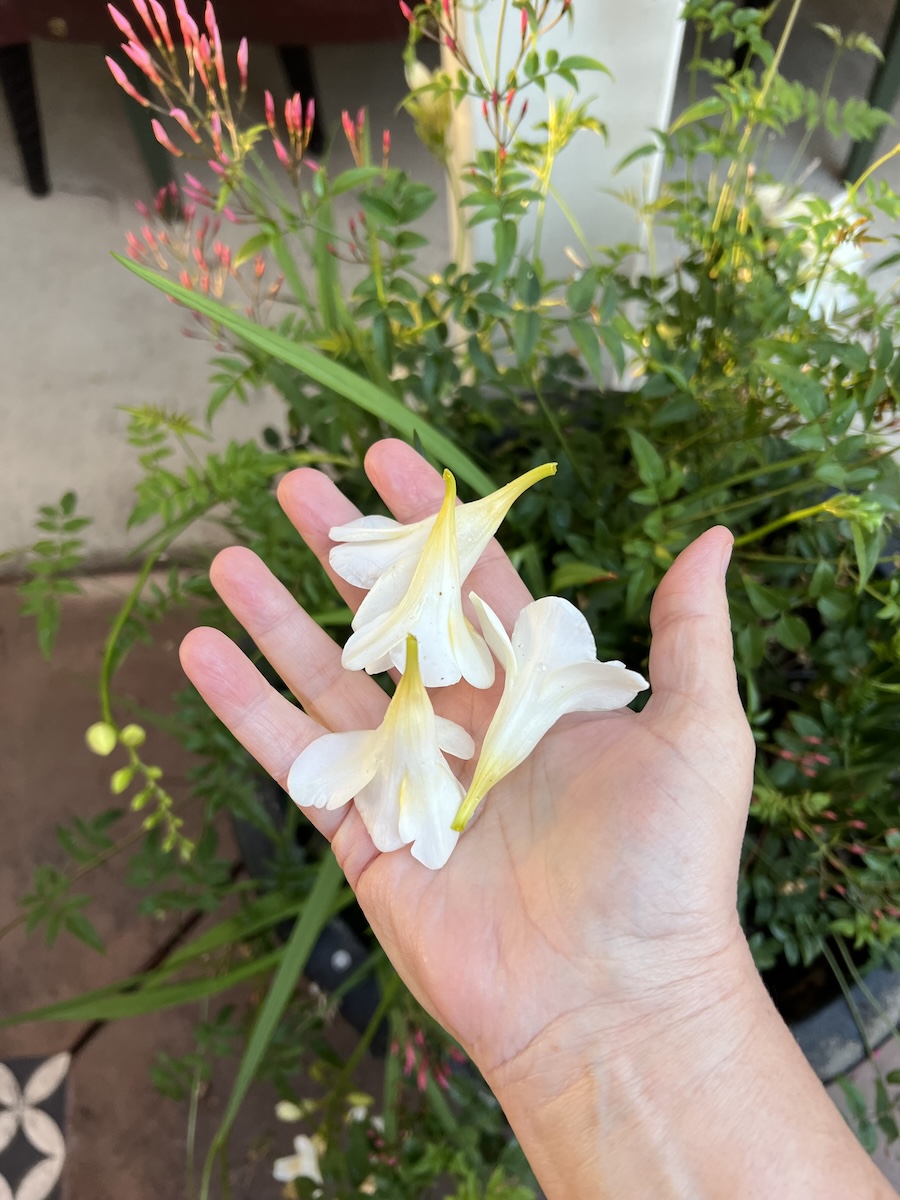 7 Weeks 4 days Until Retirement